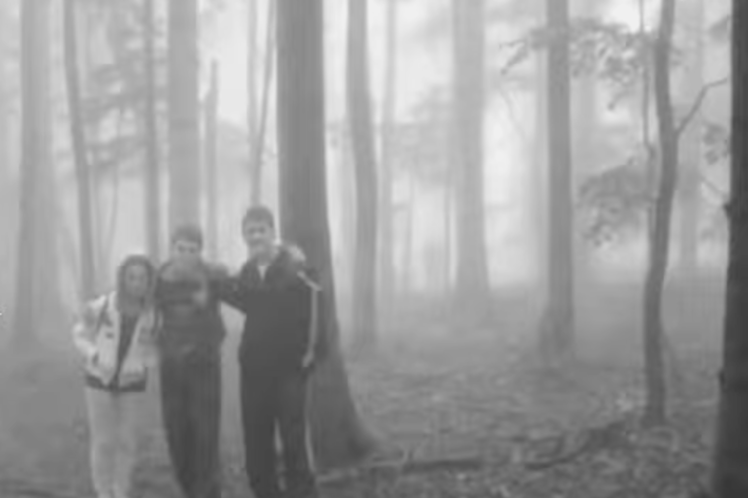 Êtes-vous assez courageux pour regarder de plus près ces photos ? 5 ... Êtes-vous assez courageux pour regarder de plus près ces photos ? 5 ...