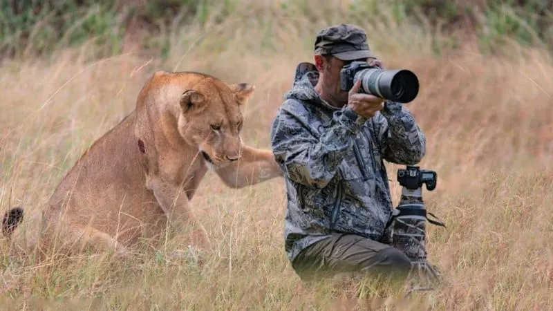 Un lion demande l'aide d'un photographe - L'incroyable vérité révélée